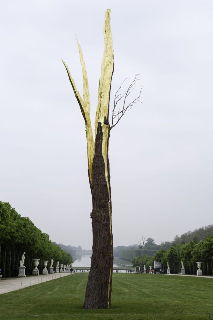 Giuseppe Penone: Thoughts in the Roots - Artpaper.press